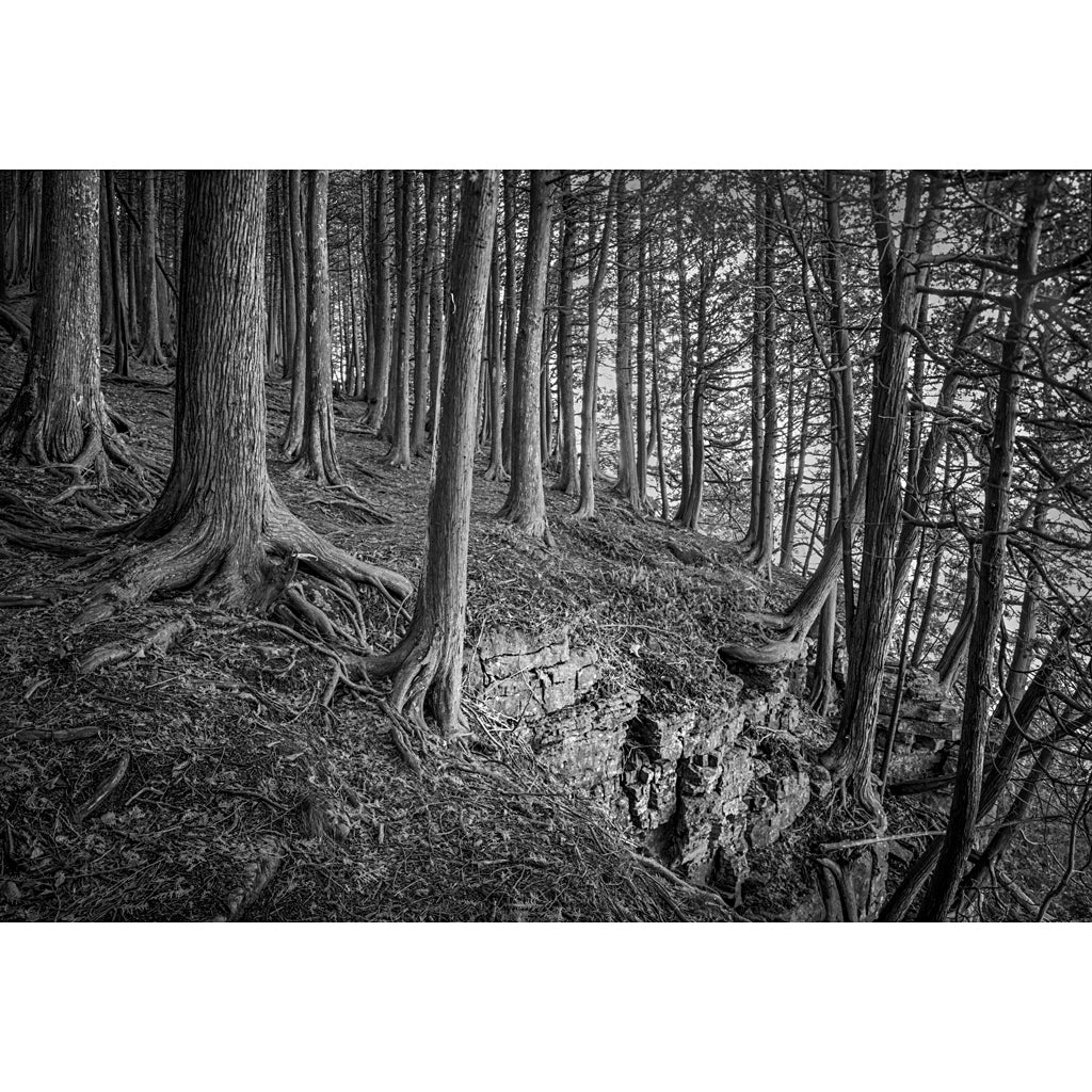 Door County – Roger Alan Beck