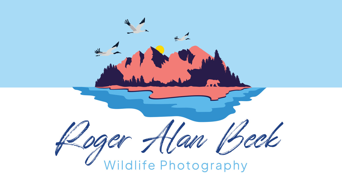 Roger Alan Beck Photography