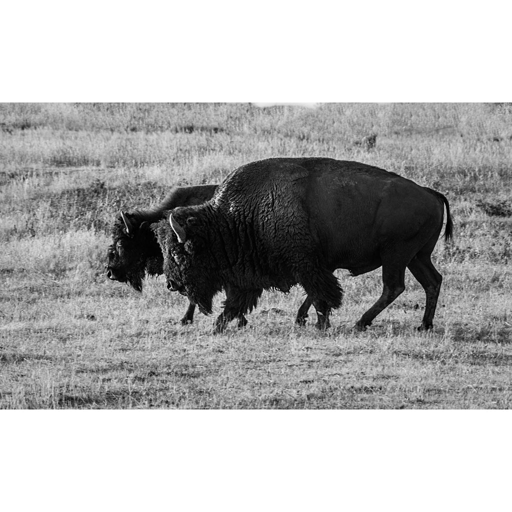 Mr and Mrs – Roger Alan Beck