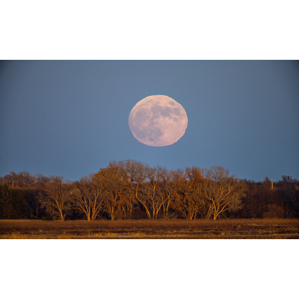 Pink Moonrise – Roger Alan Beck