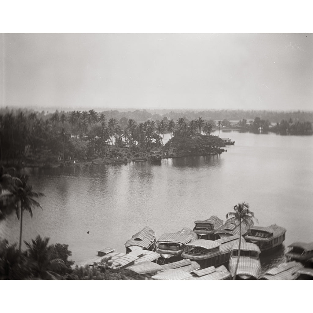 Tropical River – Roger Alan Beck